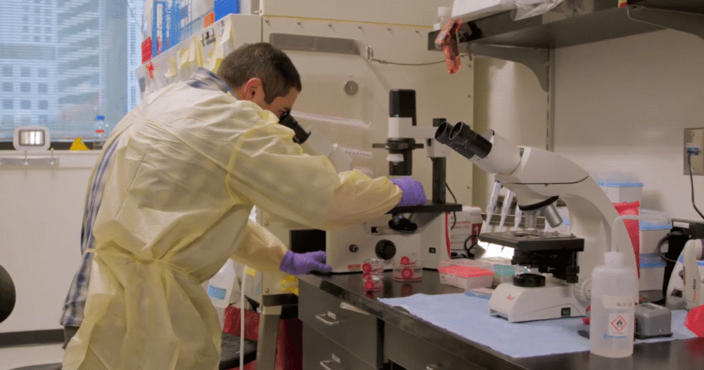 From Donation to Discovery: How We Fund Childhood Cancer Research | St ...